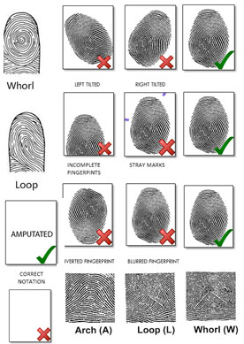 Live Scan – Background Check – Royal Finger Printing